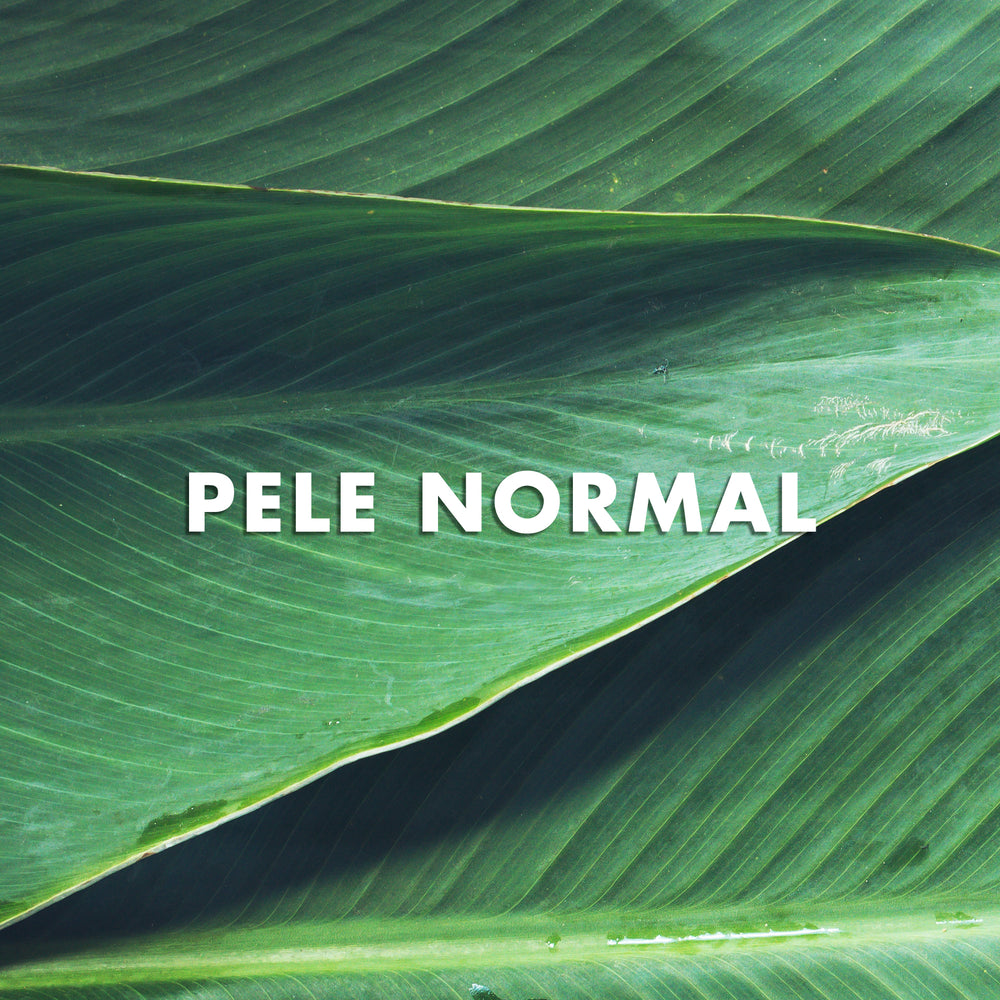 Guia de Cuidados de Pele Normal – The Green Beauty Concept